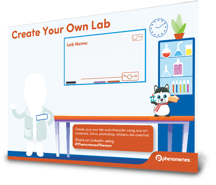 Create Your Own Lab
